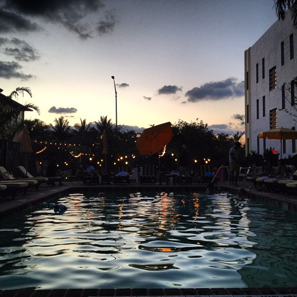 Haute Hostel The Freehand Headed to Williamsburg, Across From The Wythe ...