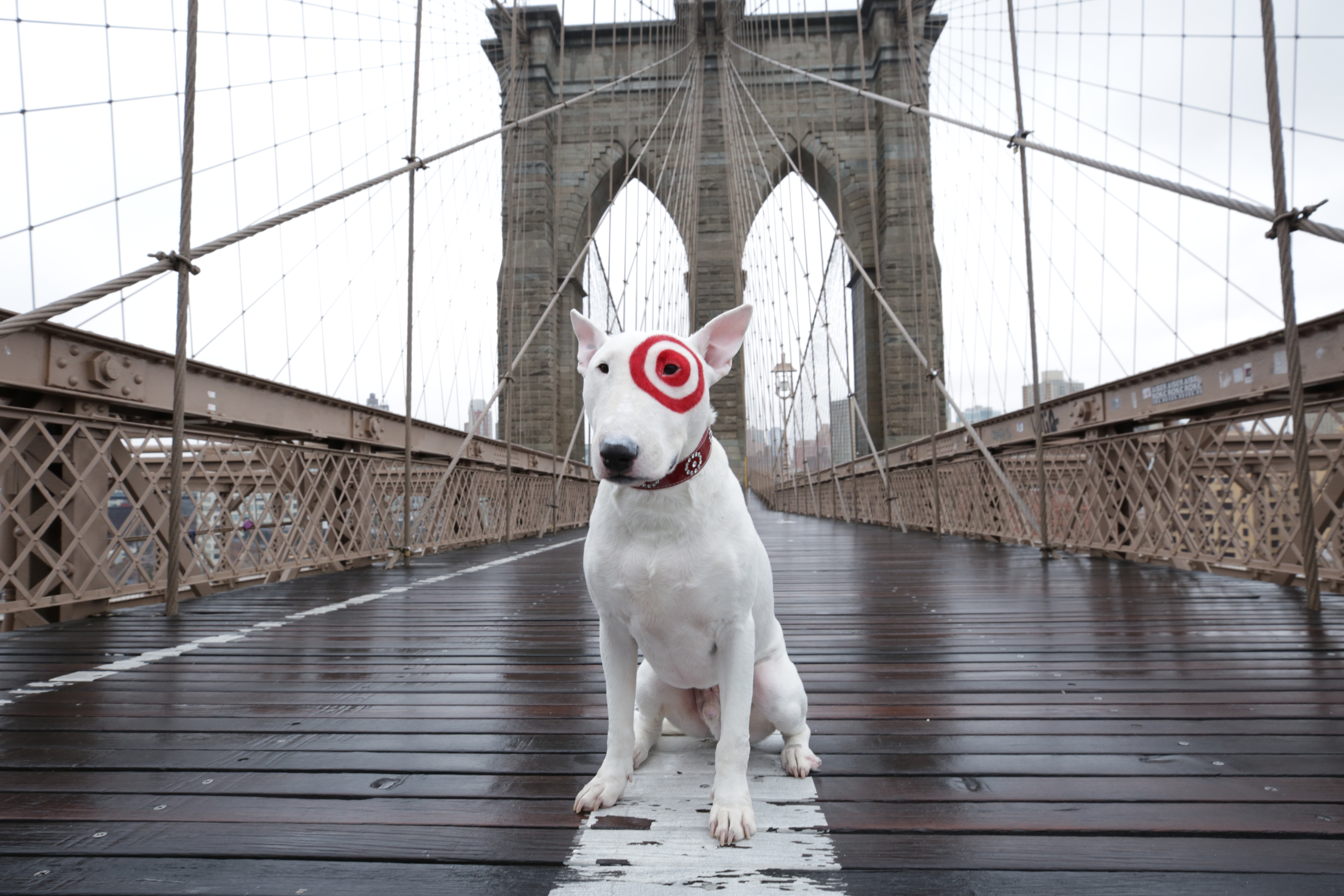 Target Targets Bensonhurst With New Flexible-Format Store on 18th ...