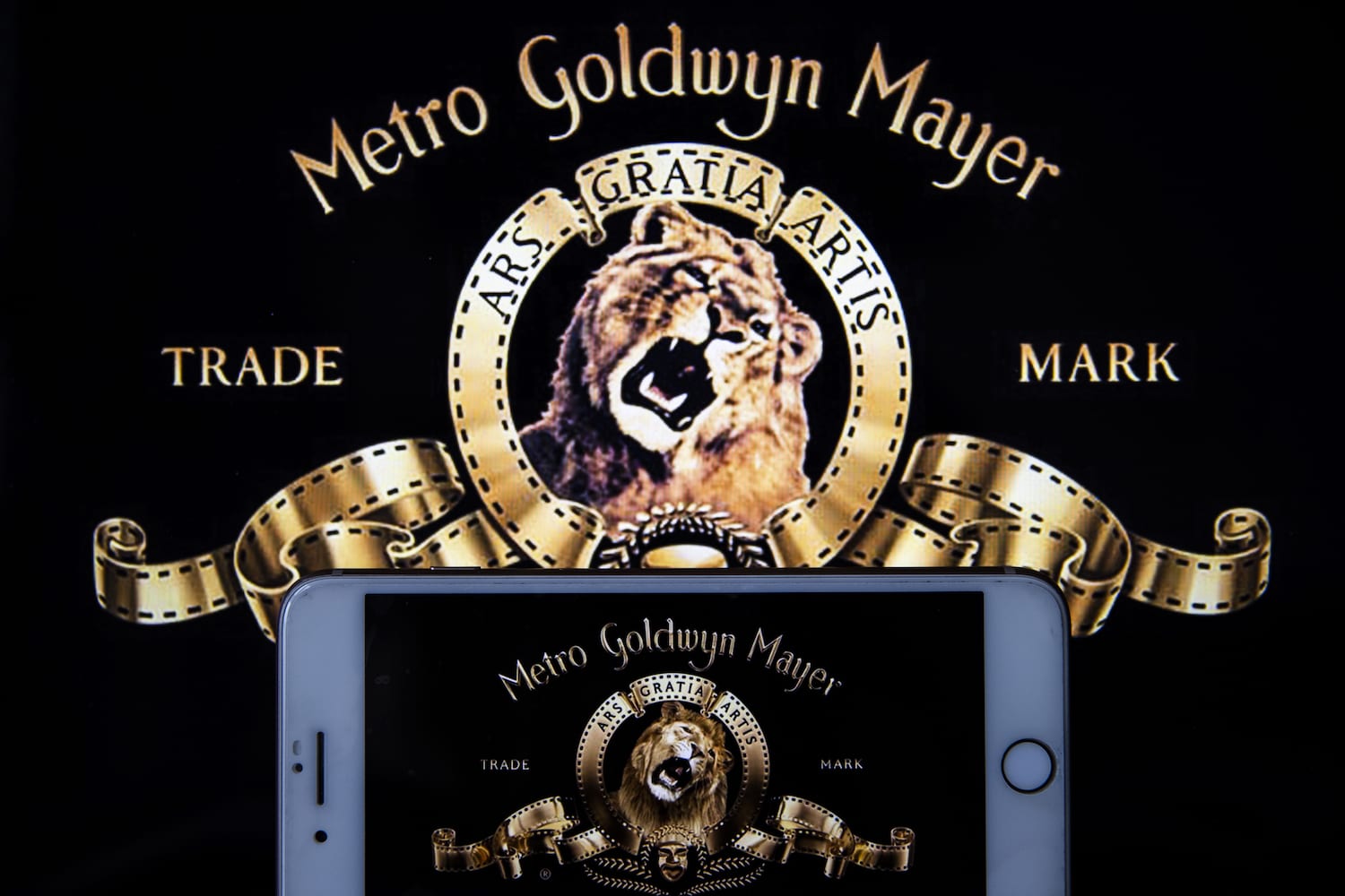 MGM Holdings – Commercial Observer
