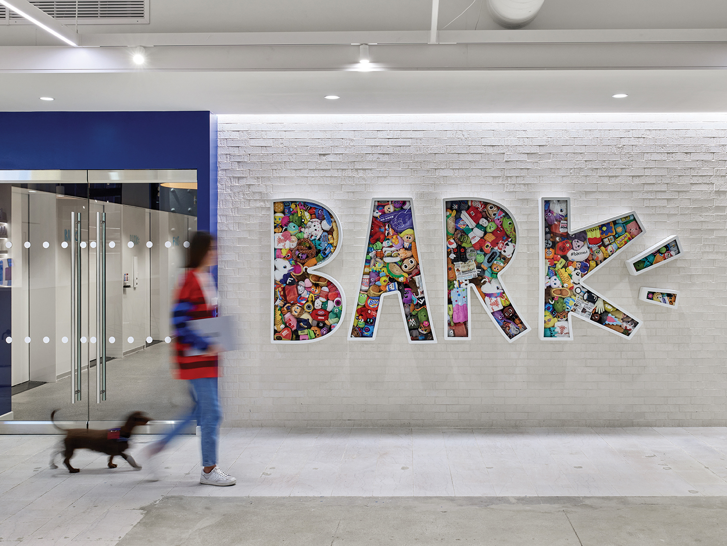 How BarkBox Designed an Office Friendly to Dogs and Humans – Commercial ...