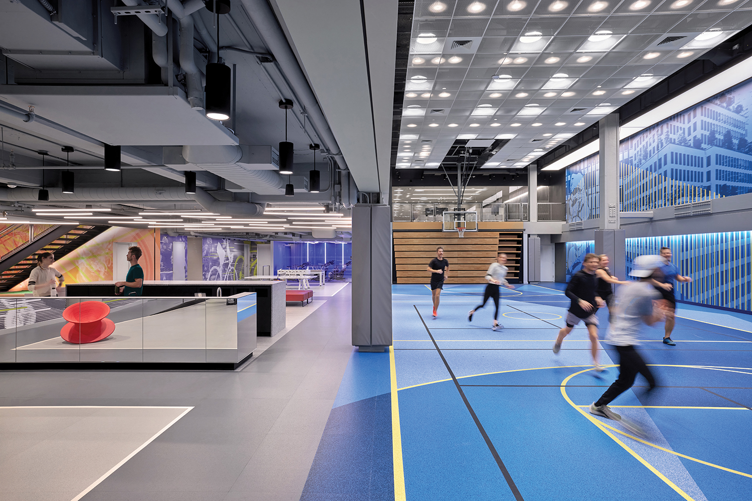 Yes, That’s a Climbing Wall in the Office. RFR’s Seagram Building ...